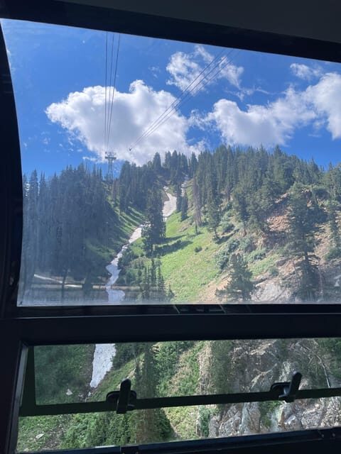 Snowbird Summer Excursion Day Tour - Who will enjoy this tour most?
