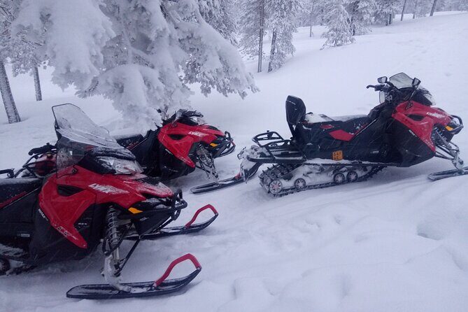 Snowmobile and Ice Fishing Excursion (private tour) - A Closer Look at the Experience