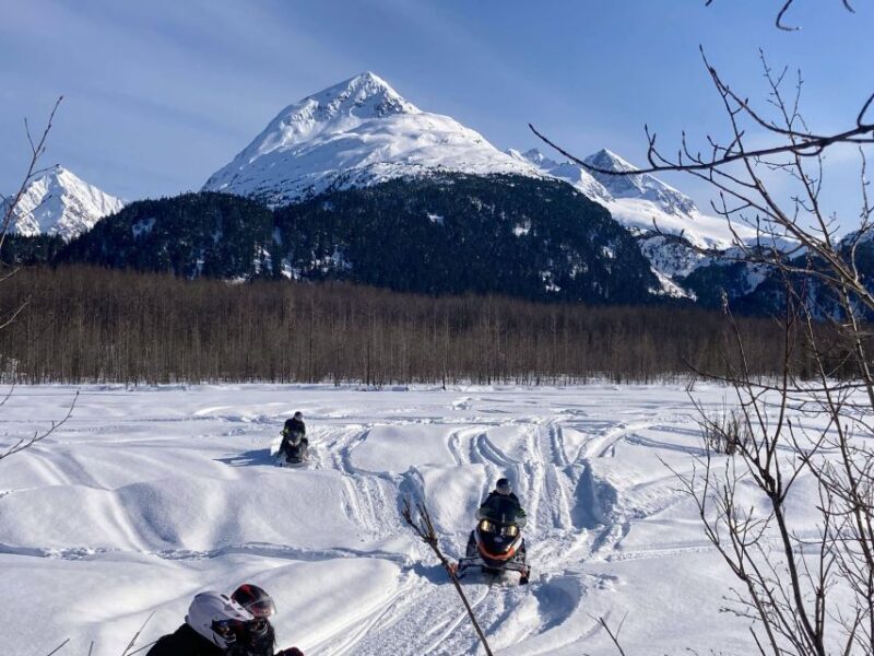 Snowmobile and Snowshoe Dual Adventure from Seward, AK - The Practical Details and Value