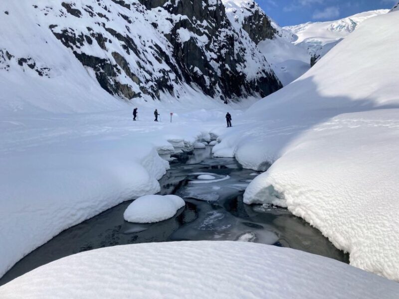 Snowmobile and Snowshoe Dual Adventure from Seward, AK - Authentic Experiences and Traveler Feedback