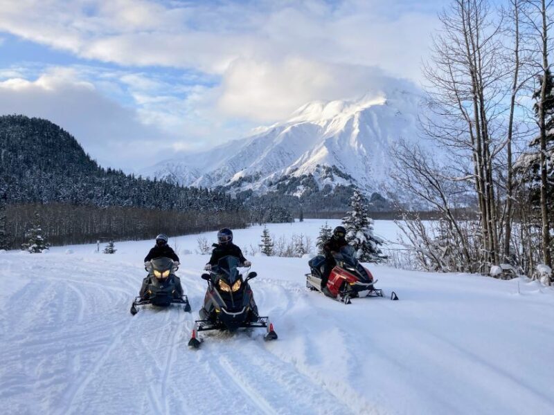 Snowmobile Classic Tour in Kenai Fjords National Park - Riding Through Snowy Wilderness