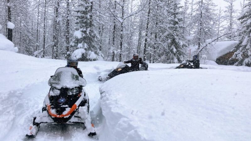 Snowmobile Classic Tour in Kenai Fjords National Park - Authentic Experiences and Real Feedback