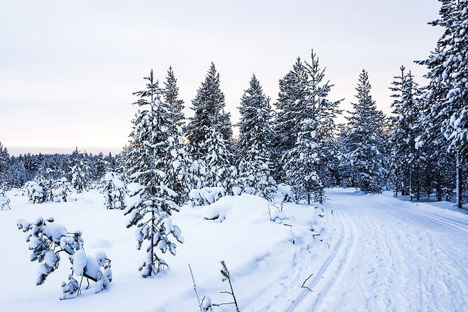 Snowmobile Driving - Afternoon start - Setting Off: What to Expect at the Meeting Point