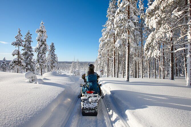 Snowmobile Safari 2h - An In-Depth Review of the Snowmobile Safari