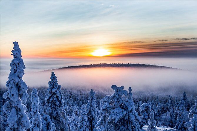 Snowmobile Safari in the Nature - Final Thoughts