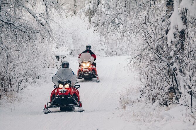 Snowmobile Safari into the Wilderness, Apukka Resort Rovaniemi - The Sum Up
