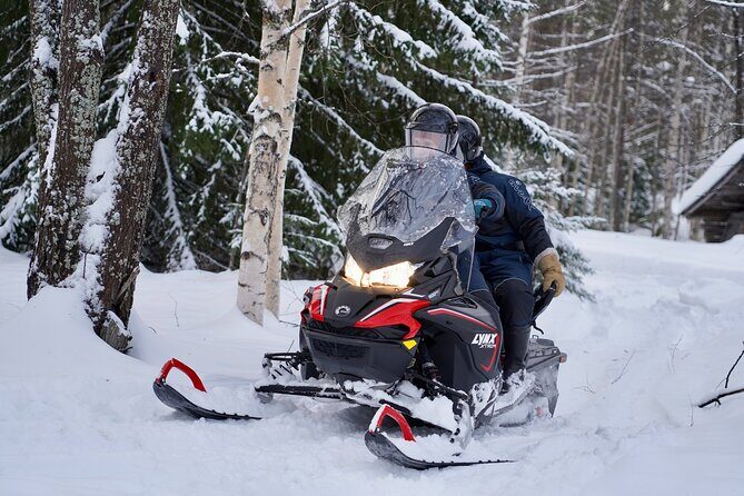 Snowmobile Safari to the Wilderness - An In-Depth Look at the Tour