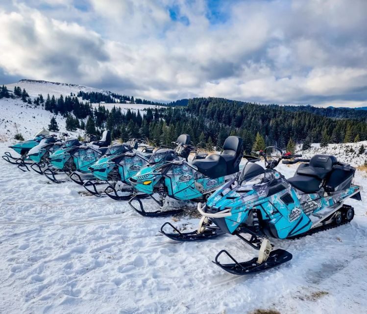 Snowmobile Tour In Bucegi Mountains - Snowmobile Tour In Bucegi Mountains: An Authentic Romanian Winter Adventure