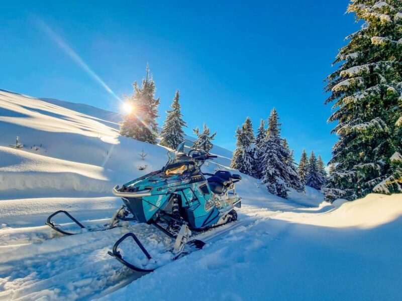 Snowmobile Tour In Bucegi Mountains - The Sum Up: Who Will Enjoy This Snowmobile Tour?