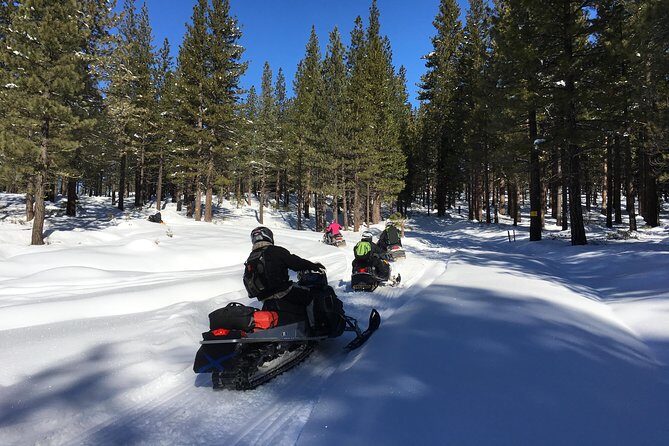 Snowmobiling Packages in the Sierra's from Reno, Nevada - Authentic Experiences and Feedback
