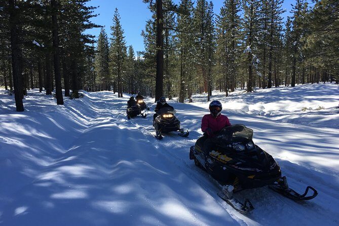Snowmobiling Packages in the Sierra's from Reno, Nevada - The Sum Up