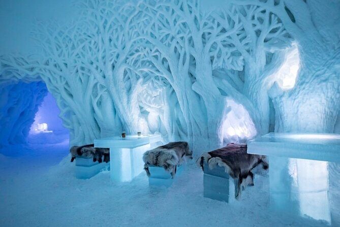 Snowmobiling , Tromsø Ice Domes Snow Park, and Reindeer Visit - A Practical Guide to the Arctic Arctic Adventure