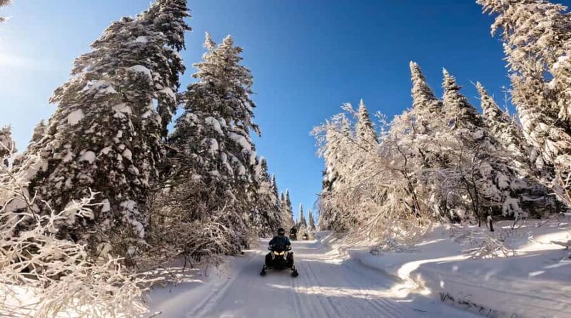 Snowmobiling Upper Laurentians 2hrs near Mont-Tremblant - Discover the Upper Laurentians on a Guided Snowmobile Tour