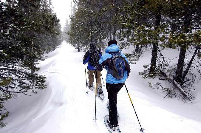 Snowshoe Adventure Frozen Falls and Firelight Tour - Value for Money