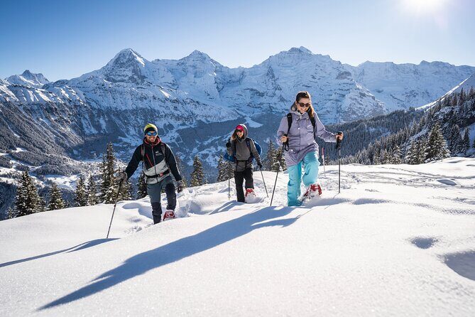 Snowshoe Adventure in the Swiss Alps - What Makes This Tour Stand Out?