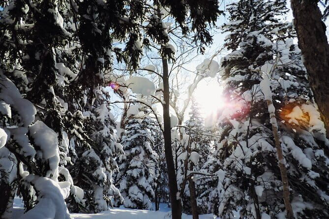 Snowshoe Adventures and Onsen Bliss Winter Escape in Furano - An Honest Look at the Furano Snowshoe Tour Experience