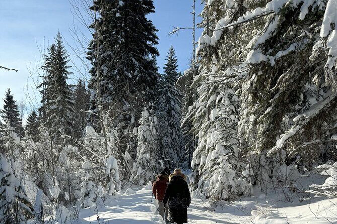 Snowshoe Day Tour In Glacier National Park - The Sum Up