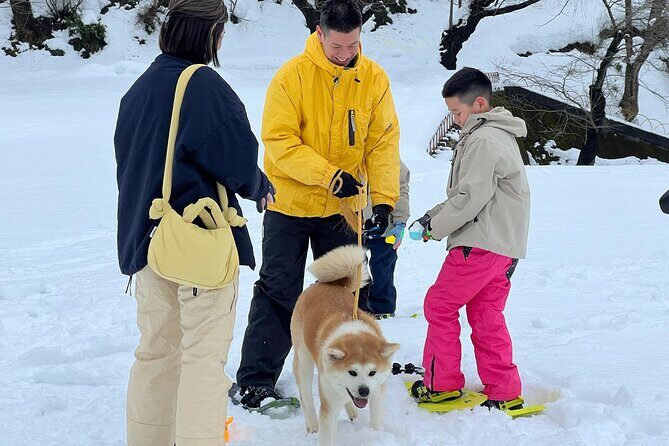 Snowshoe Experience in Akita Yuzawa Winter Park with an Akita Dog - Practical Details and Why They Matter