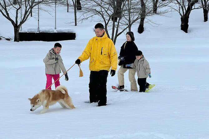 Snowshoe Experience in Akita Yuzawa Winter Park with an Akita Dog - FAQ