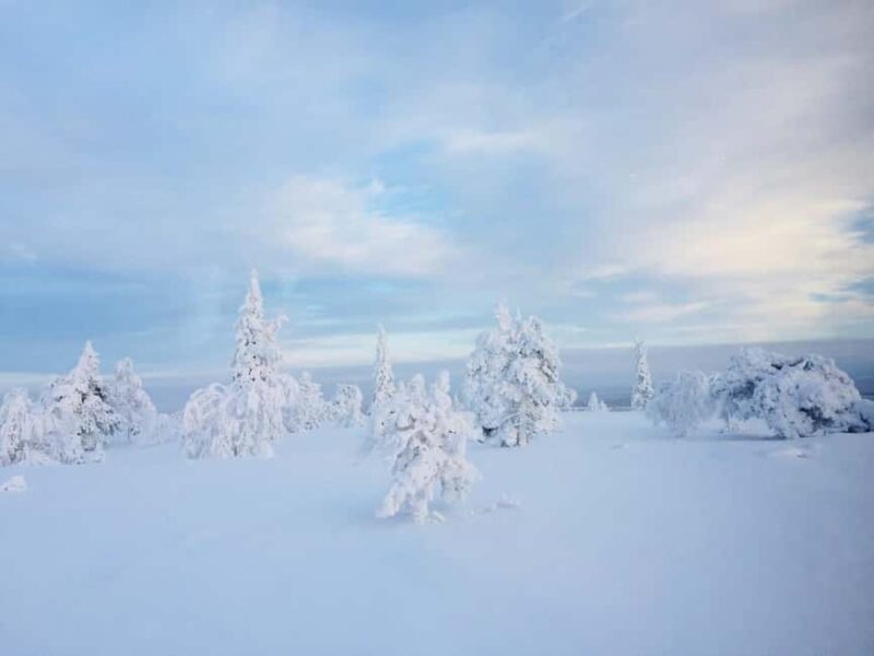 Snowshoe experience with traditional beverages in Lapland - The value: gear, guides, and included amenities