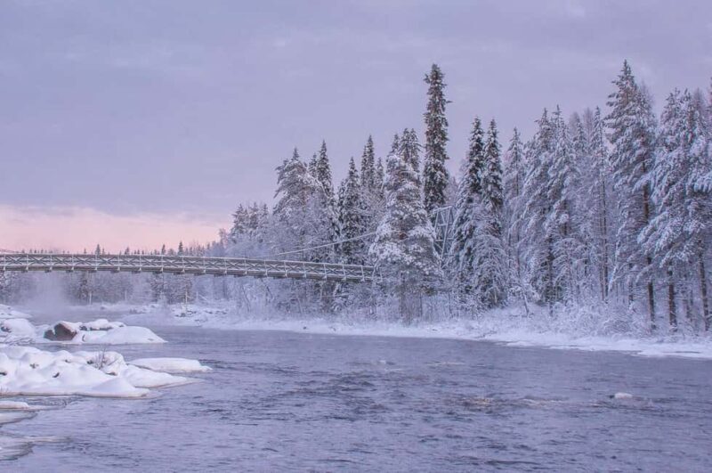 Snowshoe experience with traditional beverages in Lapland - Who is this tour best for?