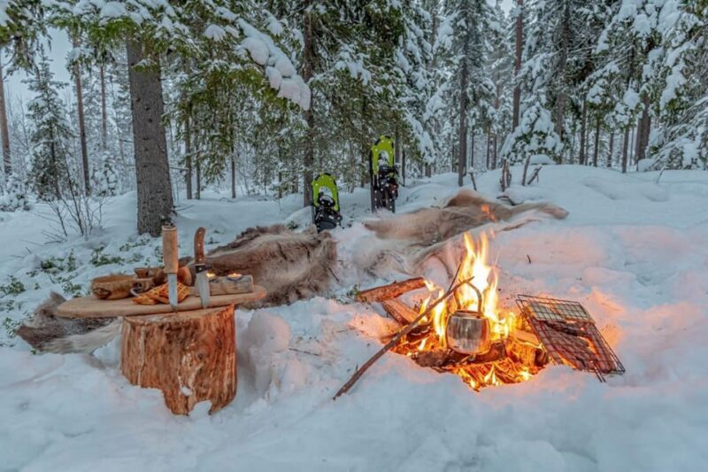 Snowshoe experience with traditional beverages in Lapland - Why This Tour Might Be Perfect for You