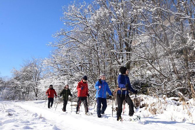 Snowshoe Hike Tour from Sapporo - Transportation and Logistical Details