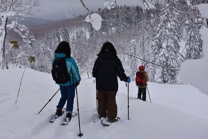 Snowshoe Hike Tour from Sapporo - Who Should Consider This Tour?