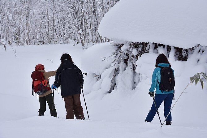 Snowshoe Hike Tour from Sapporo - Final Thoughts