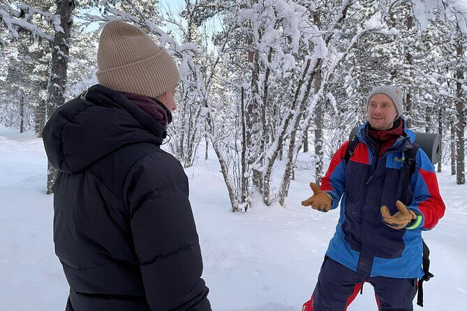 Snowshoe in a Winter Forest - An Authentic Arctic Experience in Swedish Lapland