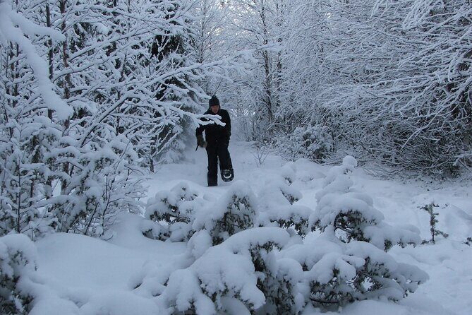 Snowshoe in a Winter Forest - Insights from the Reviews