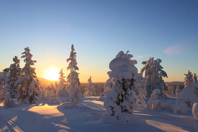 Snowshoe in a Winter Forest - Who Will Love This Tour?