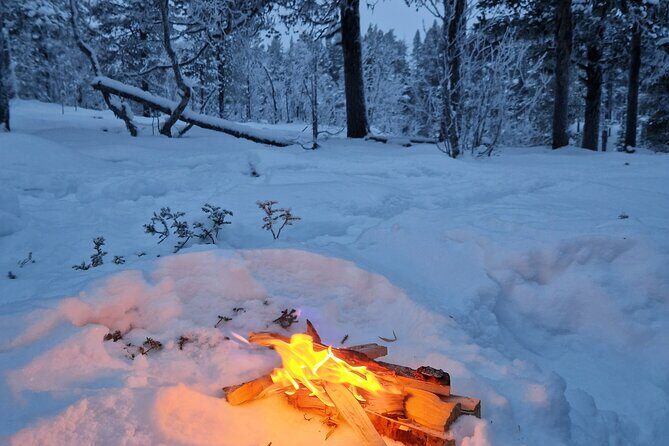 Snowshoe in a Winter Forest - Frequently Asked Questions