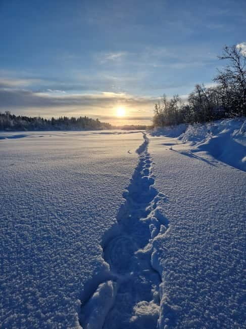 Snowshoe in a Winter Forest - What Makes This Tour Special?