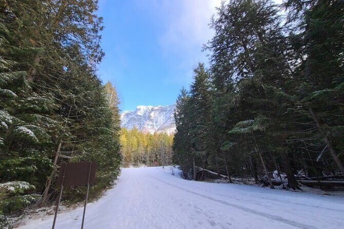 Snowshoe OR Cross Country Ski Tours in Glacier National Park - Who Will Love This Tour?