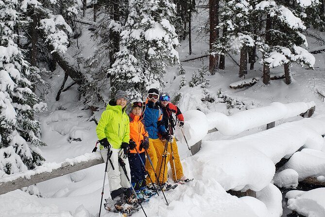 Snowshoe or XC Ski in North Yellowstone (Half Day) - Key Points