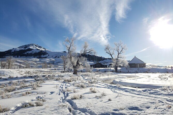 Snowshoe or XC Ski in North Yellowstone (Half Day) - Equipment and Comfort