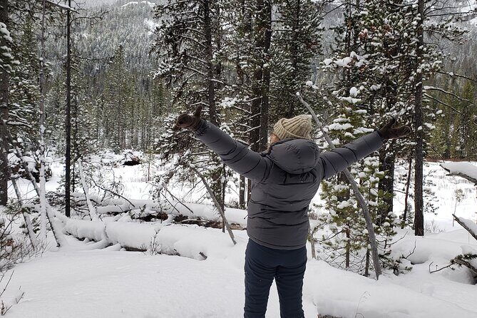 Snowshoe or XC Ski in North Yellowstone (Half Day) - Who Will Love This Experience?