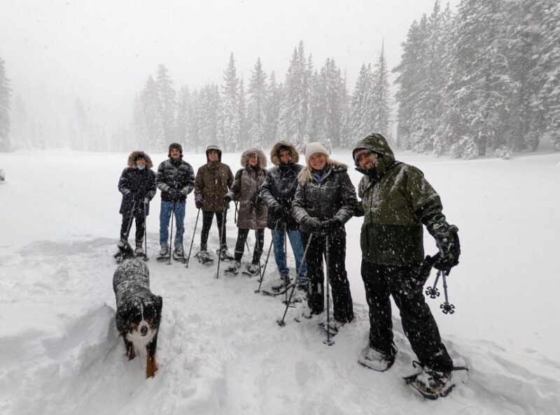 Snowshoe Rentals and Self Guided tour on Private Trails - A Practical Guide to Your Snowshoe Adventure