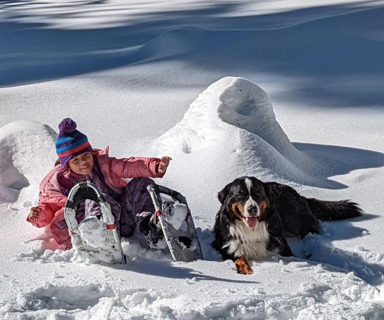Snowshoe Rentals and Self Guided tour on Private Trails - FAQs