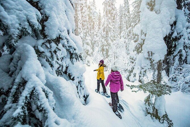Snowshoe Rentals in South Lake Tahoe - Who Will Love This Experience?