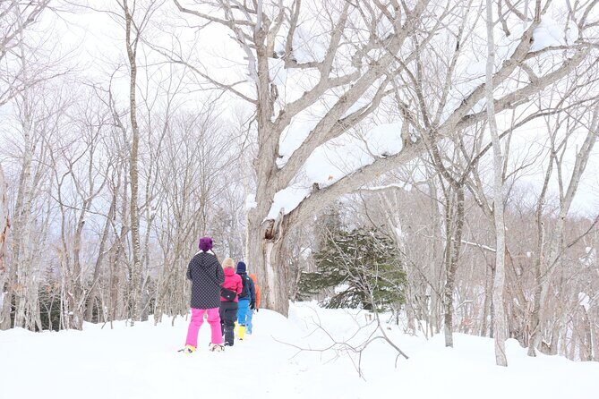 Snowshoe tours in Niseko Explore beautiful snowscapes adventure - An In-Depth Look at the Snowshoe Experience in Niseko