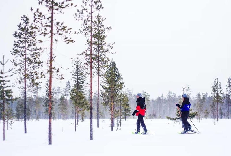 Snowshoe Trip for Ice Fishing in Saariselka - Key Points