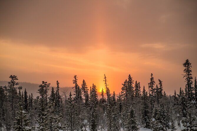 Snowshoe Winter Hike from Stockholm - Who Should Consider This Experience?
