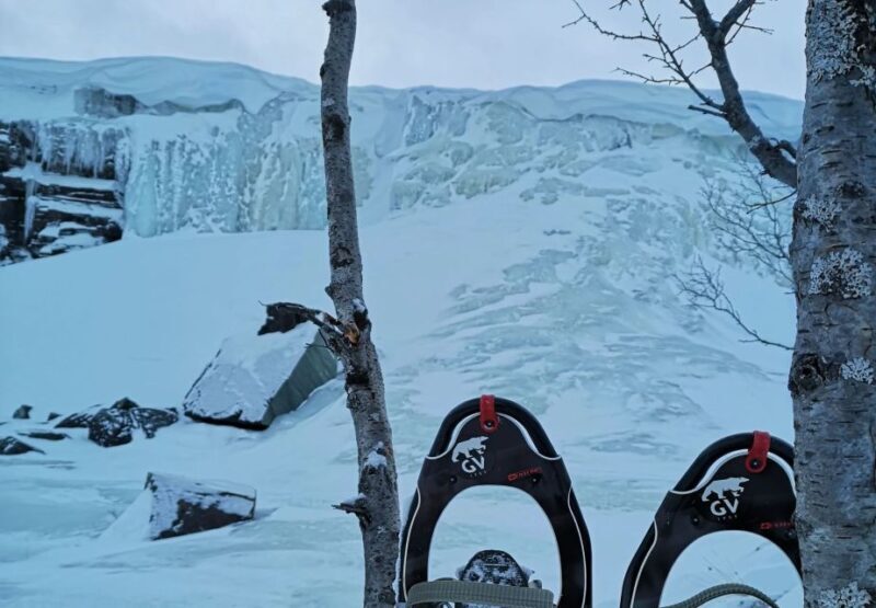Snowshoeing Adventure to the Enchanting Frozen Waterfall - Who Will Love This Tour?