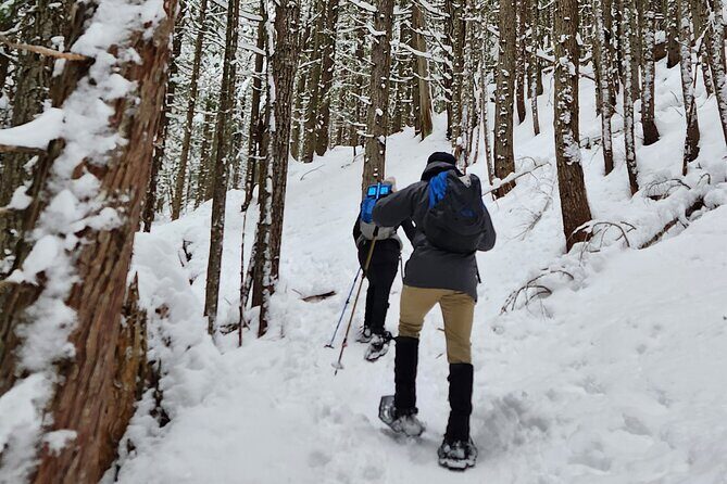 Snowshoeing at Crystal Mountain by Mount Rainier - Introduction: A Friendly Guide to Snowshoeing at Crystal Mountain