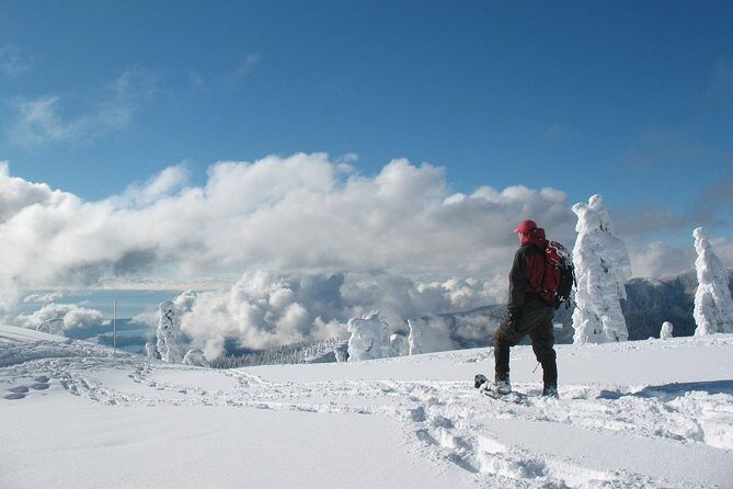 Snowshoeing at Crystal Mountain by Mount Rainier - The Journey from Seattle to Crystal Mountain
