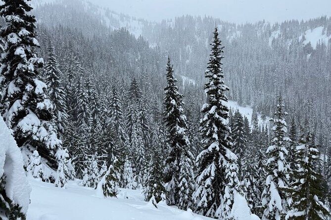 Snowshoeing at Crystal Mountain by Mount Rainier - The Outdoor Experience and Scenic Views