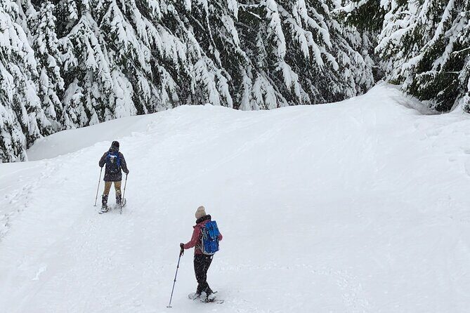 Snowshoeing at Crystal Mountain by Mount Rainier - What’s Included and Whats Not