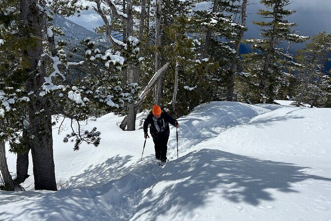 Snowshoeing at The Top of The Sea to Sky Gondola - Detailed Review of the Snowshoeing Experience